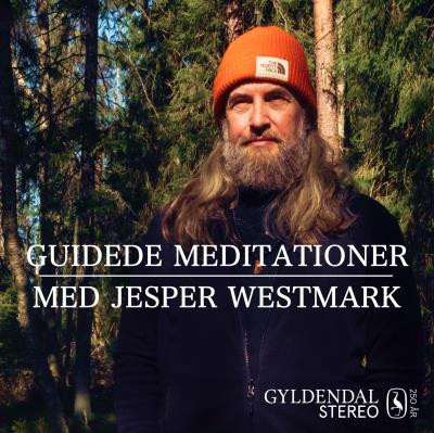 Guidede meditationer med Jesper Westmark: Samlet udgave (Lydbog, zip ...