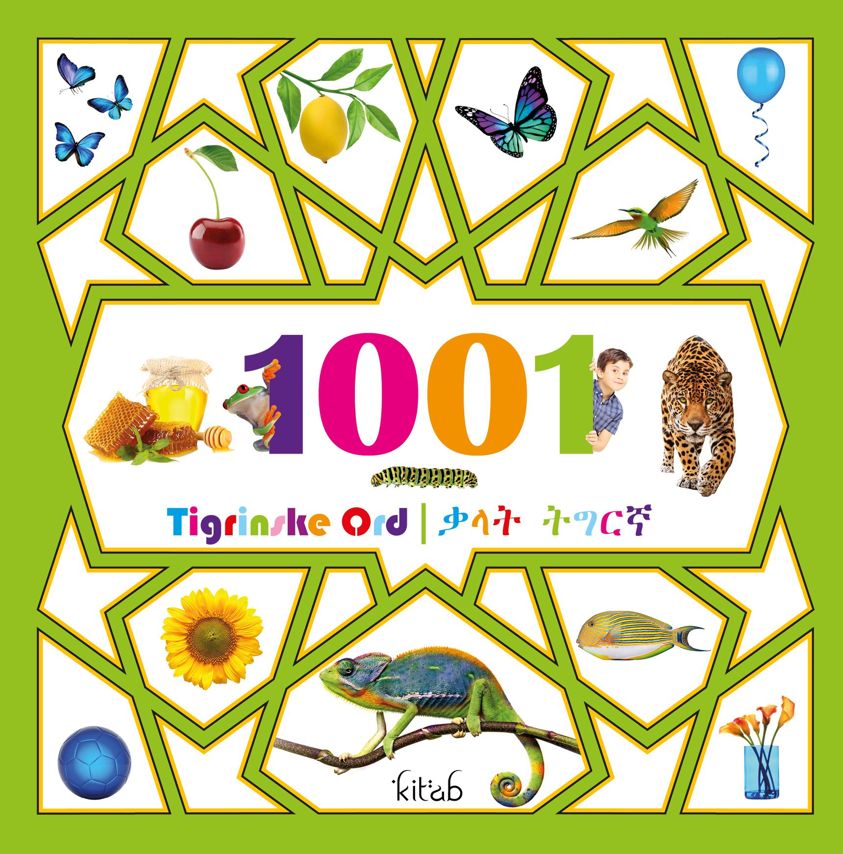 1001 Tigrinske Ord (Bog, Hardback, Tigrinja) af Ahmed Rakha