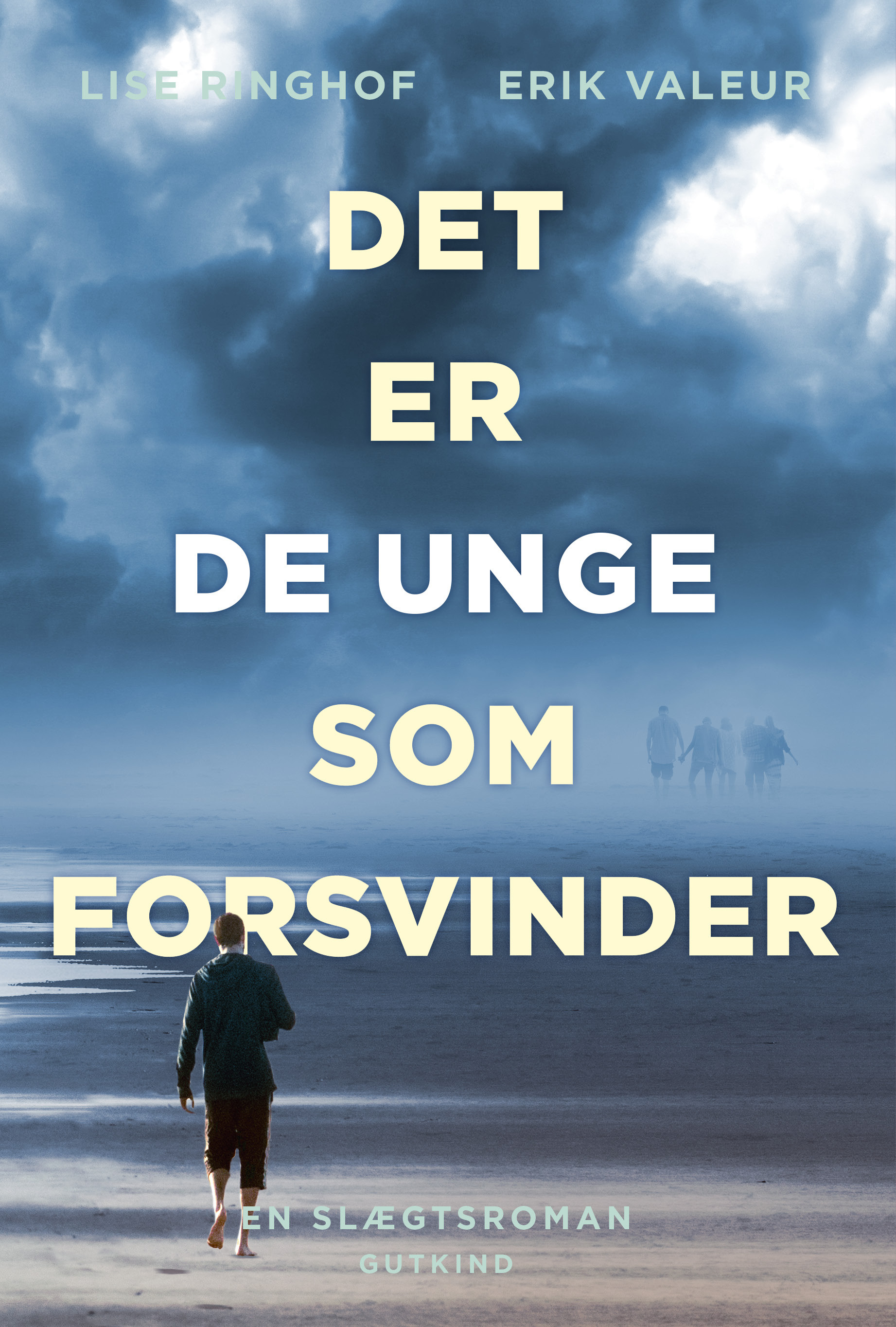 Det er de unge som forsvinder (Bog, Indbundet, Dansk) af Lise Ringhof & Erik Valeur
