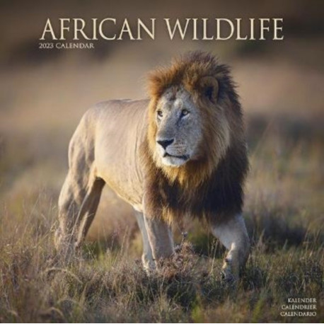 African Wildlife 2023 Wall Calendar (Kalender, Calendar, Engelsk)