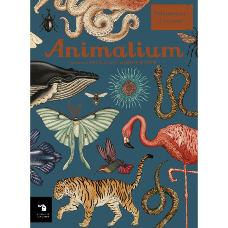 Animalium (bog, hardback, dansk) af Katie Scott & Jenny Broom
