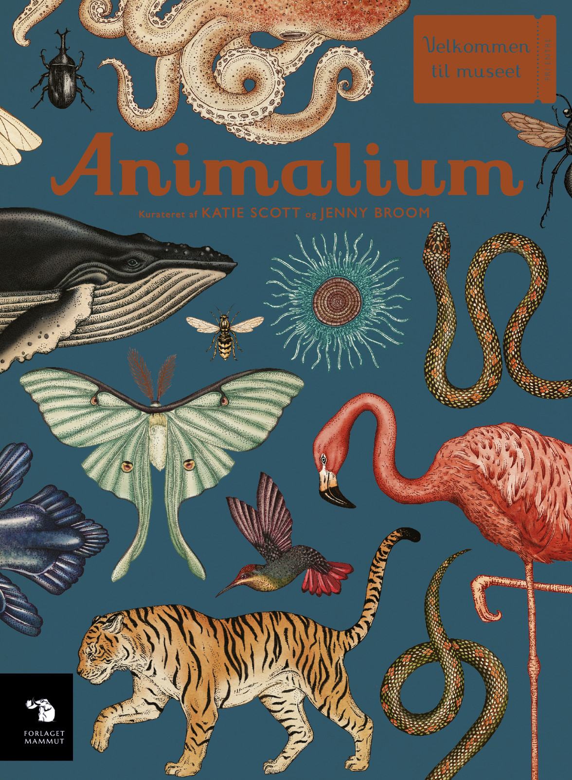 Animalium (bog, hardback, dansk) af Katie Scott & Jenny Broom