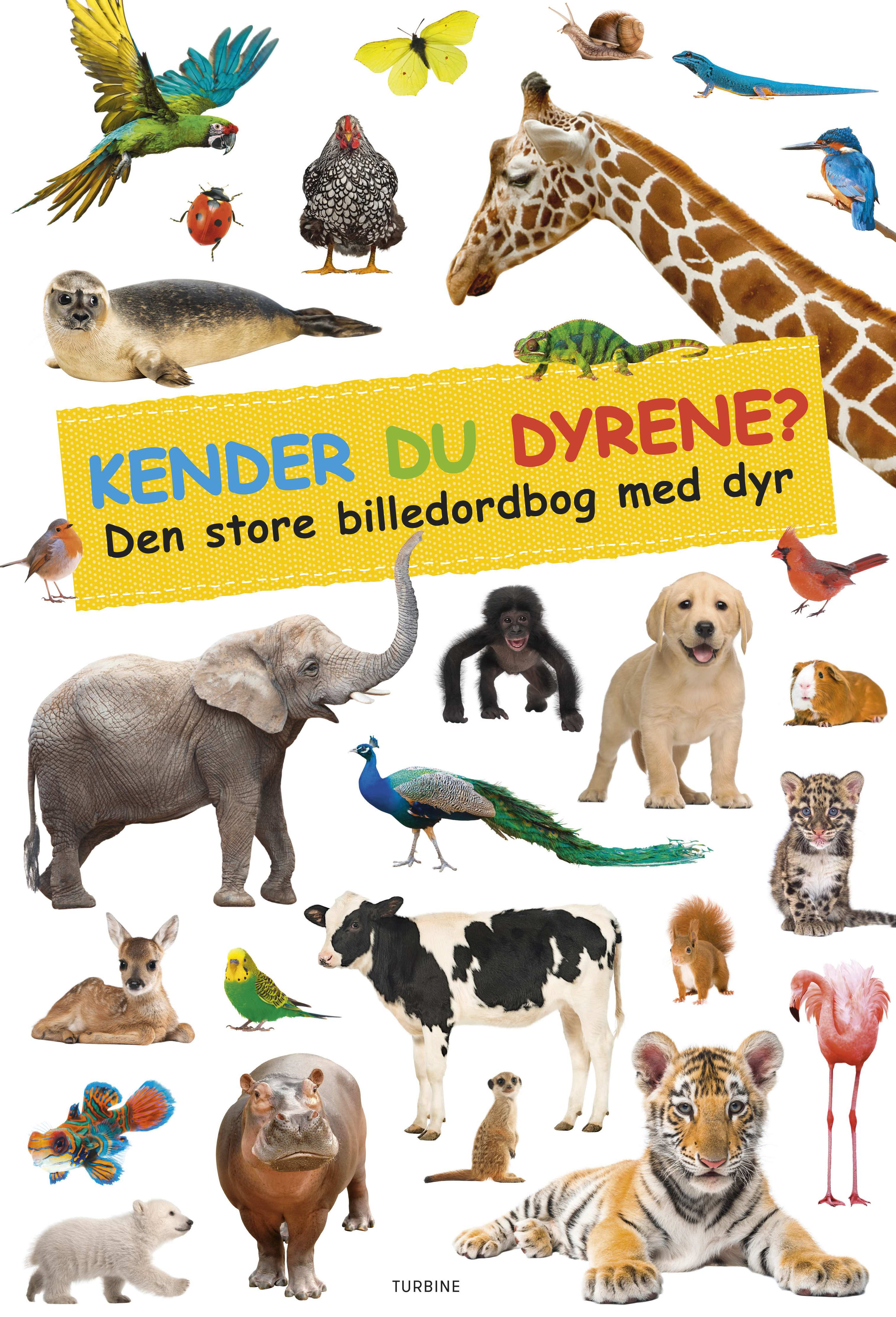 Kender du dyrene?: Den store billedordbog med dyr (Bog, Papbog, Dansk)