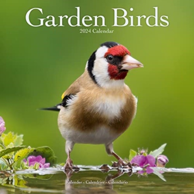 Garden Birds Calendar 2024 Square Birds Wall Calendar - 16 Month ...