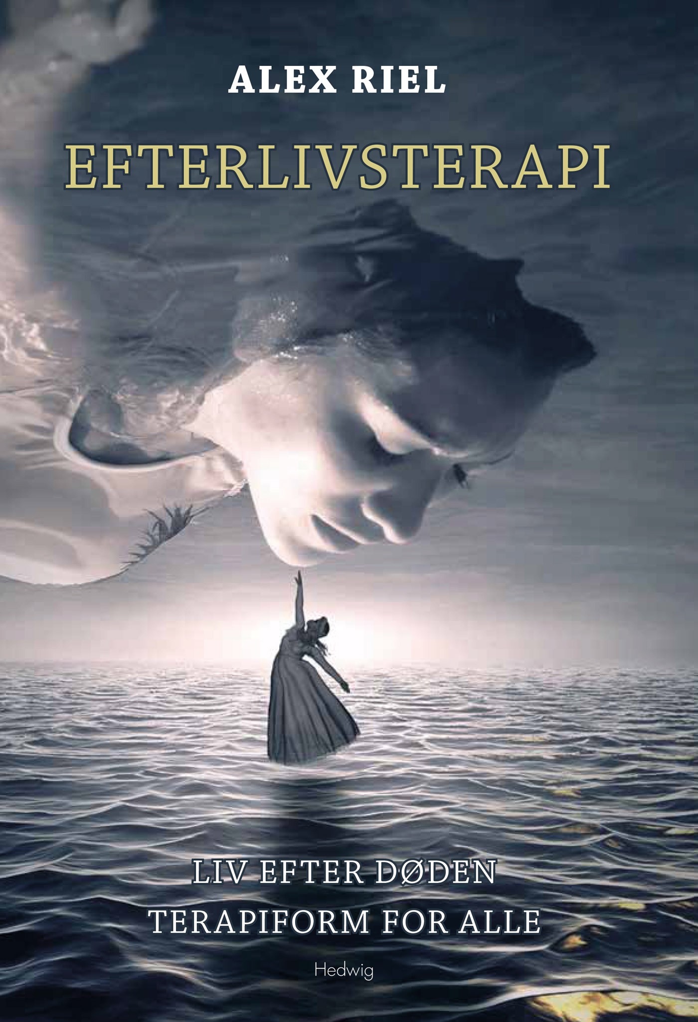 Efterlivsterapi: Liv efter døden. Terapi for alle (Bog, Hæftet, Dansk ...