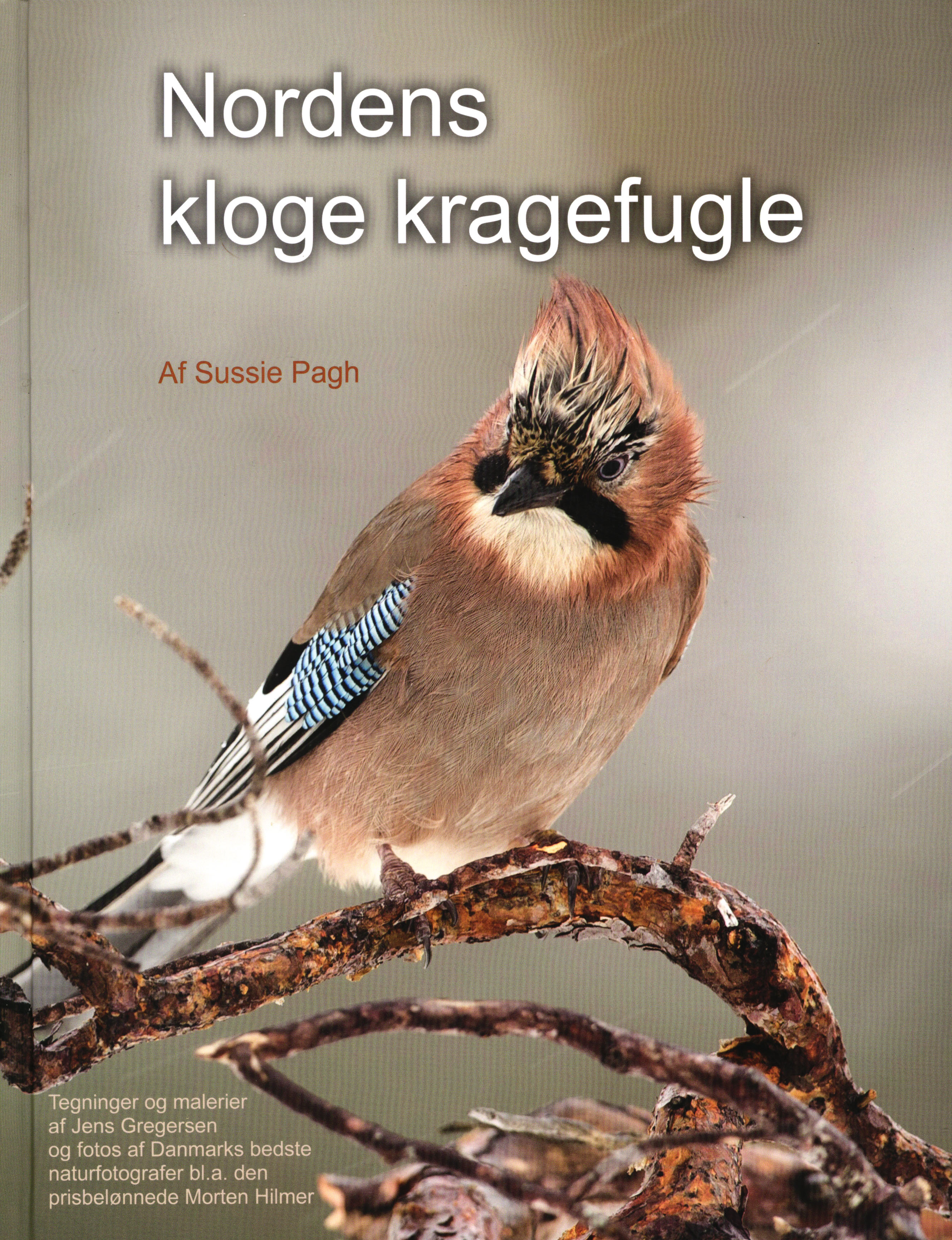 Nordens kloge kragefugle (Bog, Hardback, Dansk) af Sussie Pagh