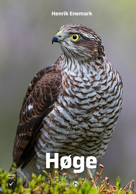 Høge (Bog, Hardback, Dansk) af Henrik Enemark