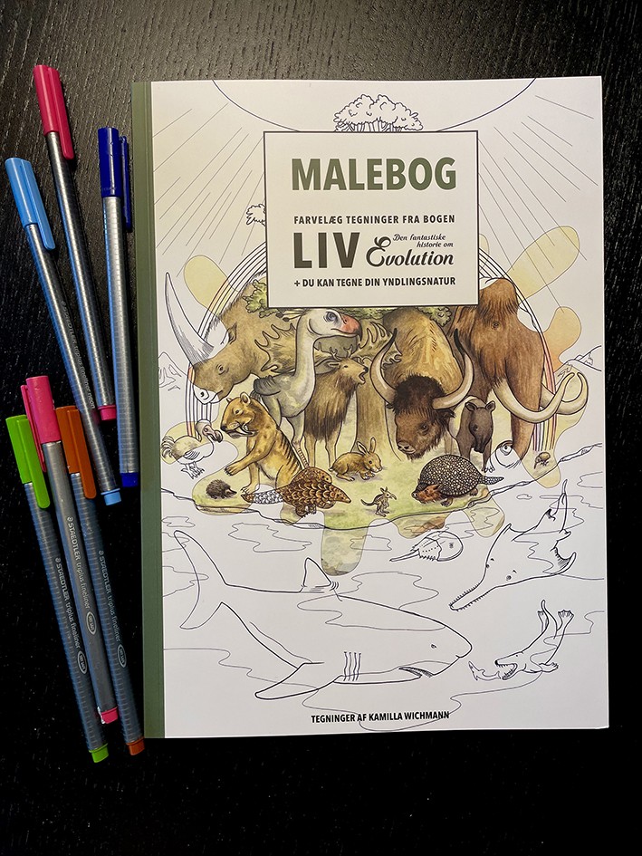 Malebog: Farvelæg tegninger fra bogen 'LIV den fantastiske historie om ...