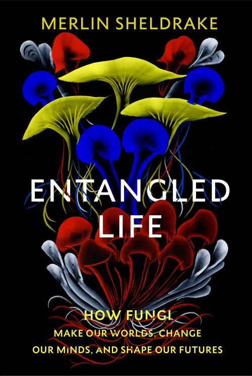 Entangled Life: How Fungi Make Our Worlds, Change Our Minds and Shape ...