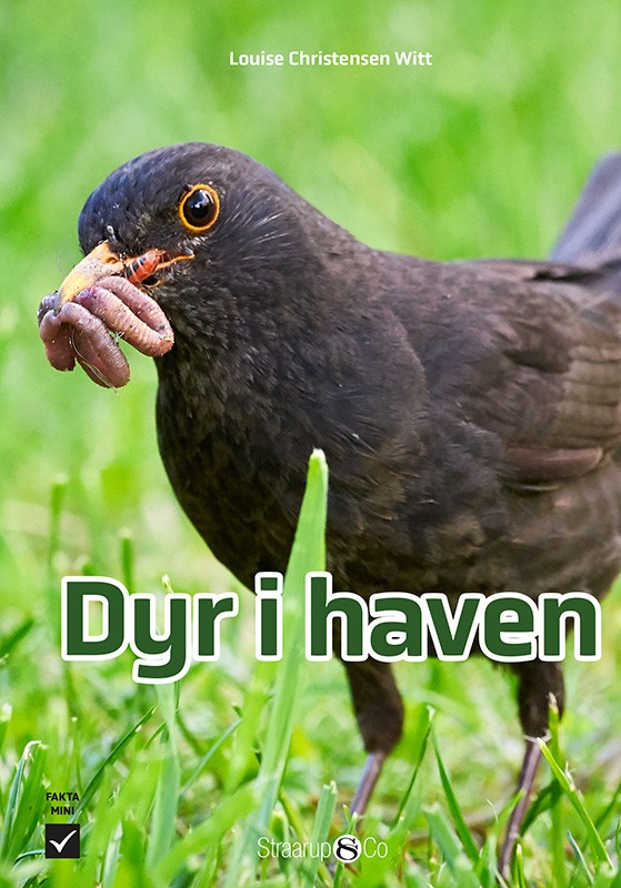 Dyr i haven (Bog, Hardback, Dansk) af Louise Christensen Witt