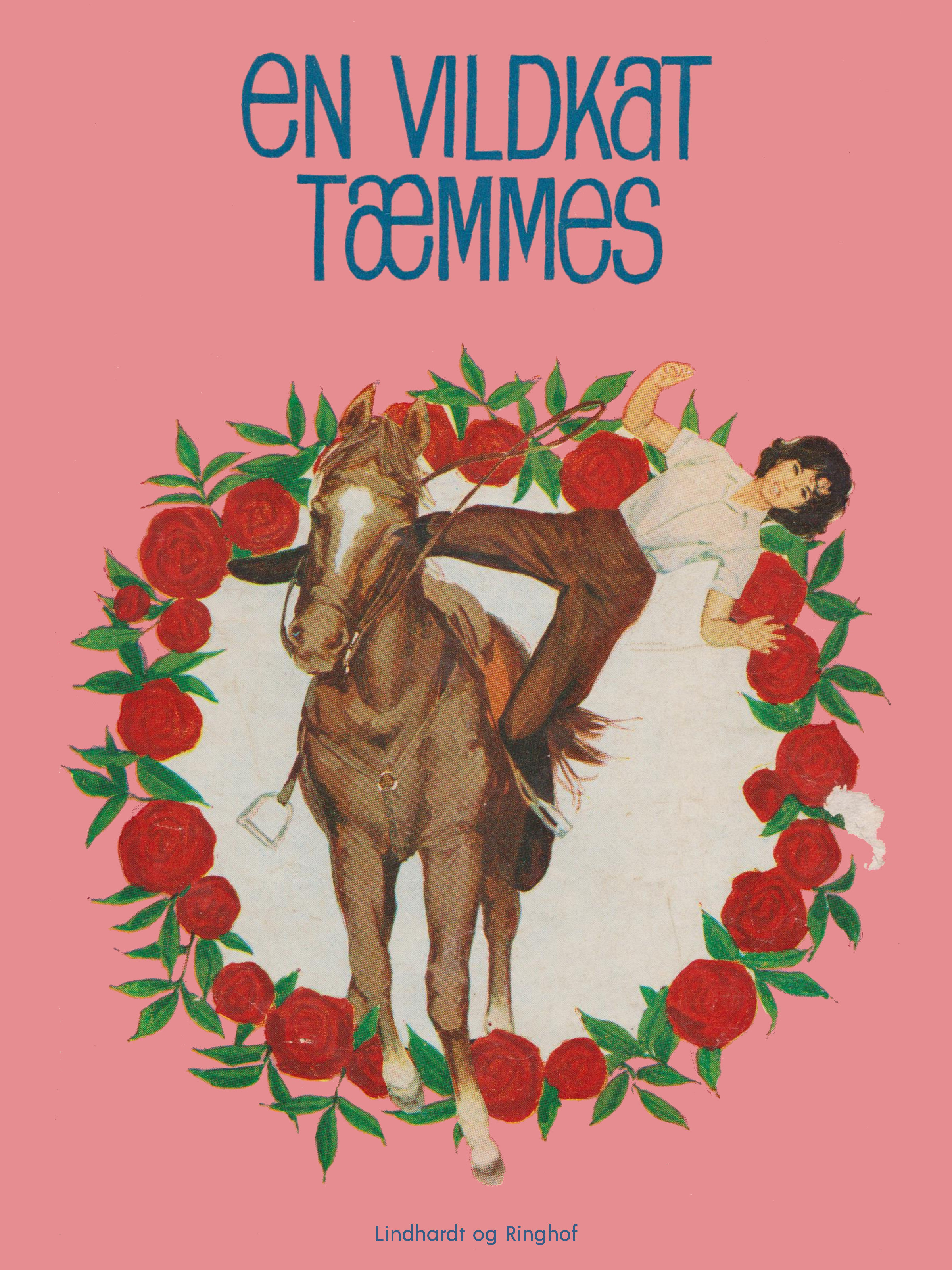 En vildkat tæmmes (Ebog, epub, Dansk) af Lisbeth Werner